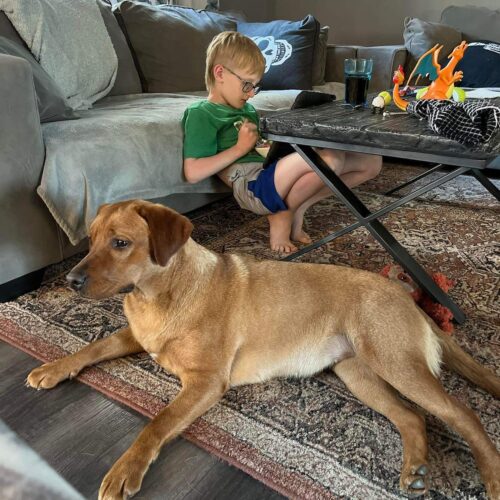 Athena (Tina) – Full Circle Rescue